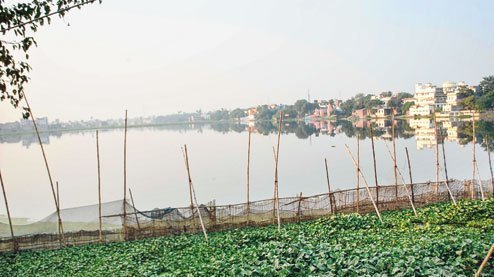 Petition · Save Motijheel in Motihari (Bihar) - India · Change.org