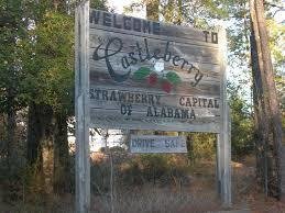 Petition · Support the Decisions and Leadership of Castleberry, Alabama ...