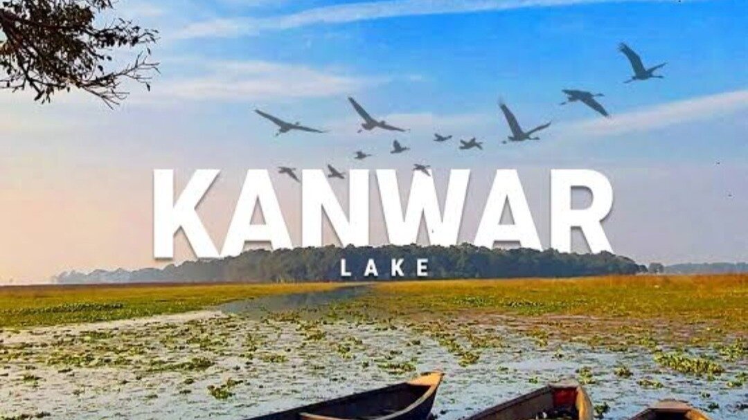Petition · Save Begusarai Lake: Protect Our Bird Sanctuary from ...