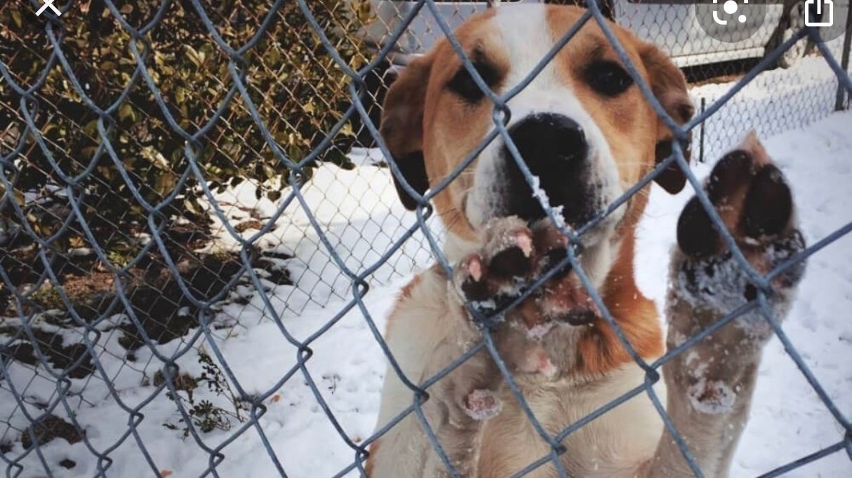 Petition · Cole County for an Inclement Weather Ordinance to protect ...