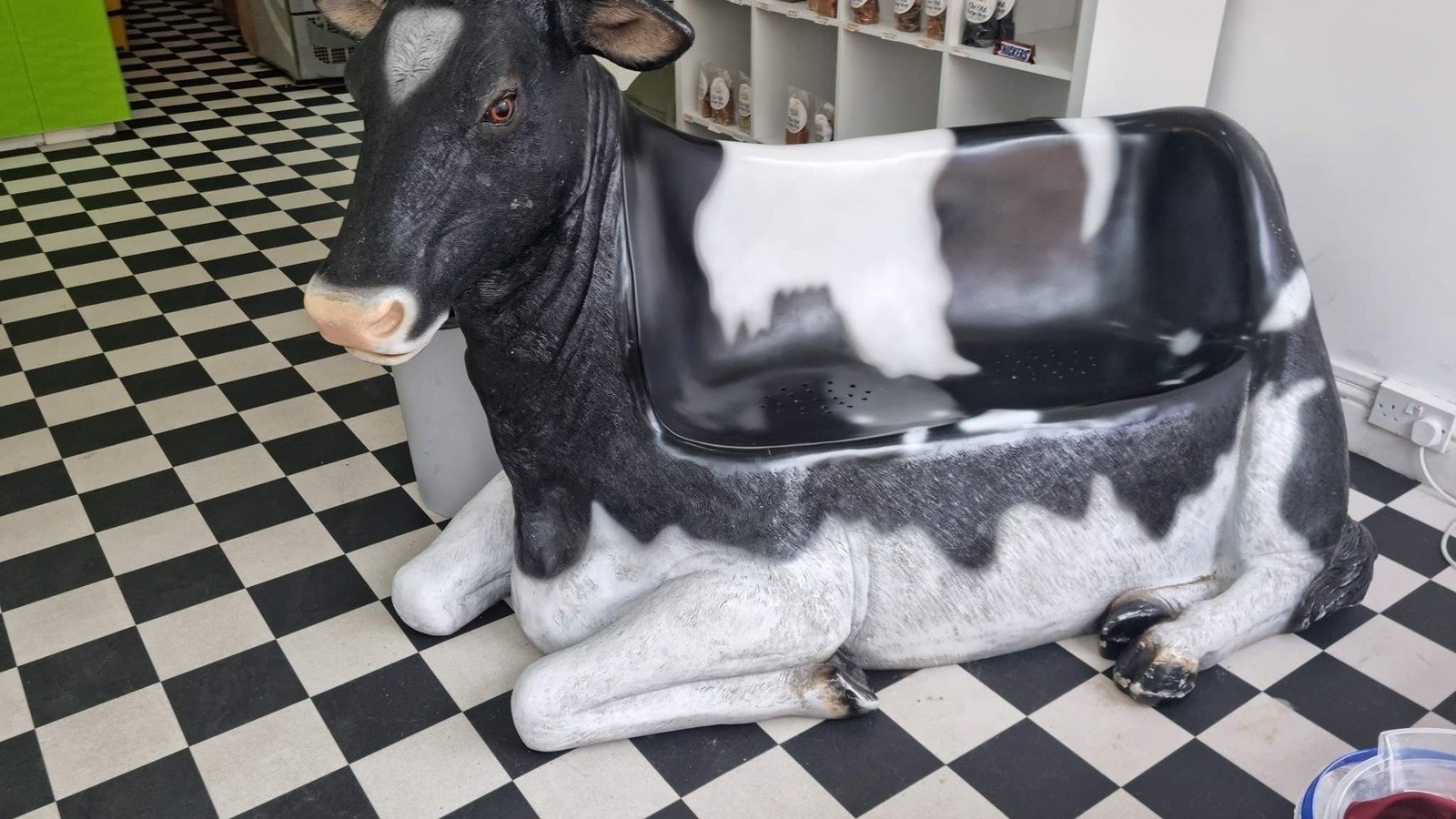 Petition · Free Tracy the cow - United Kingdom · Change.org