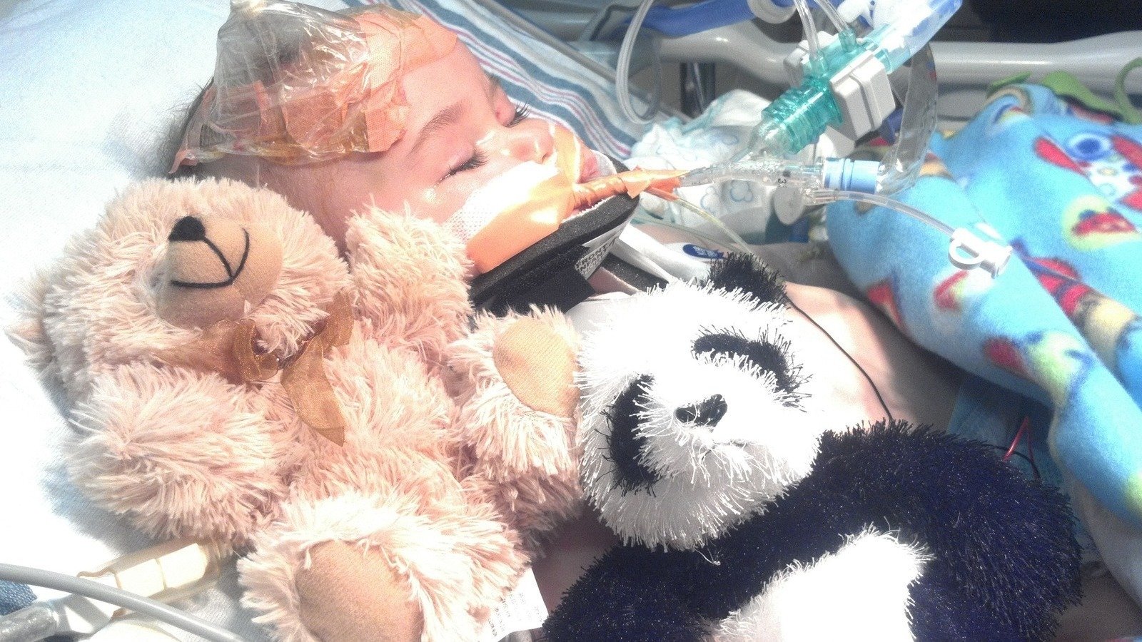 Petition · Commonwealth of Virginia, Hampton, Va: Seek first degree ...