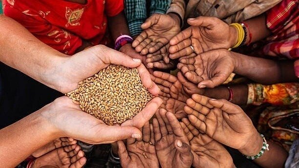 Petition · We Need Change For World Hunger - Australia · Change.org