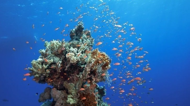 Petition · Rocky Reefs - United States · Change.org