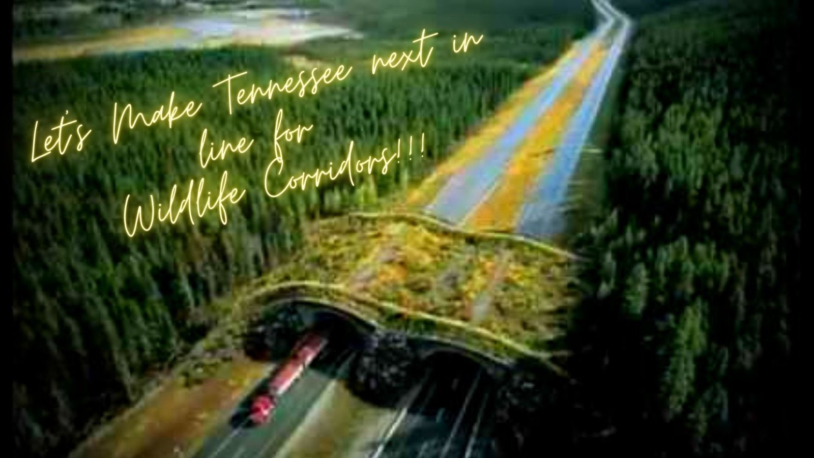 Petition · Show Your Support for the Introduction of Wildlife Corridors ...