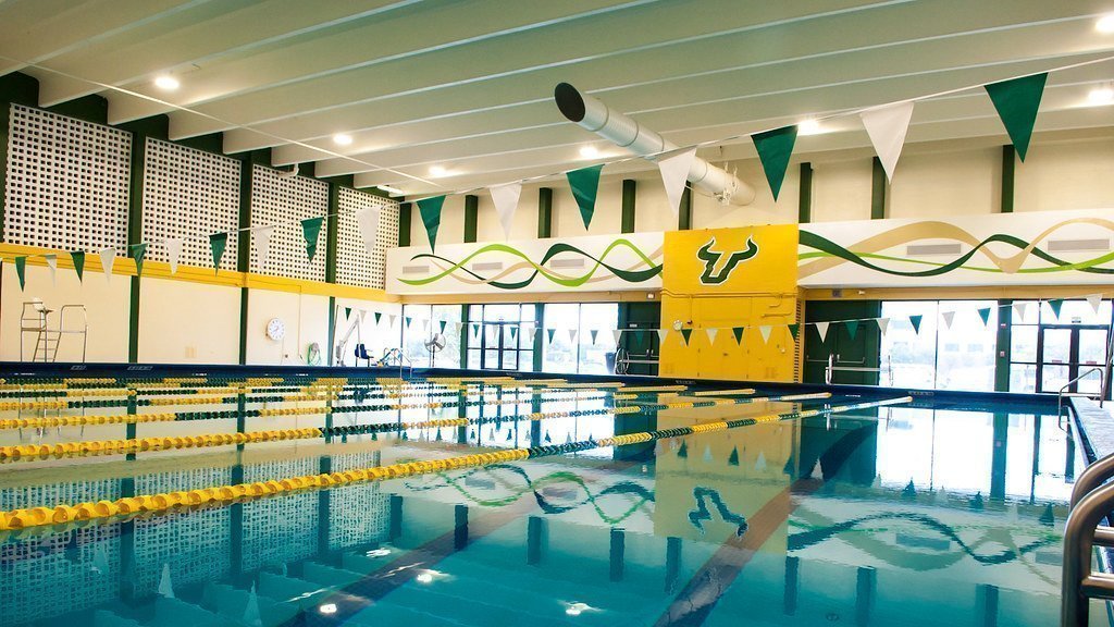 Petition · New Pool for USF Tampa! - United States · Change.org
