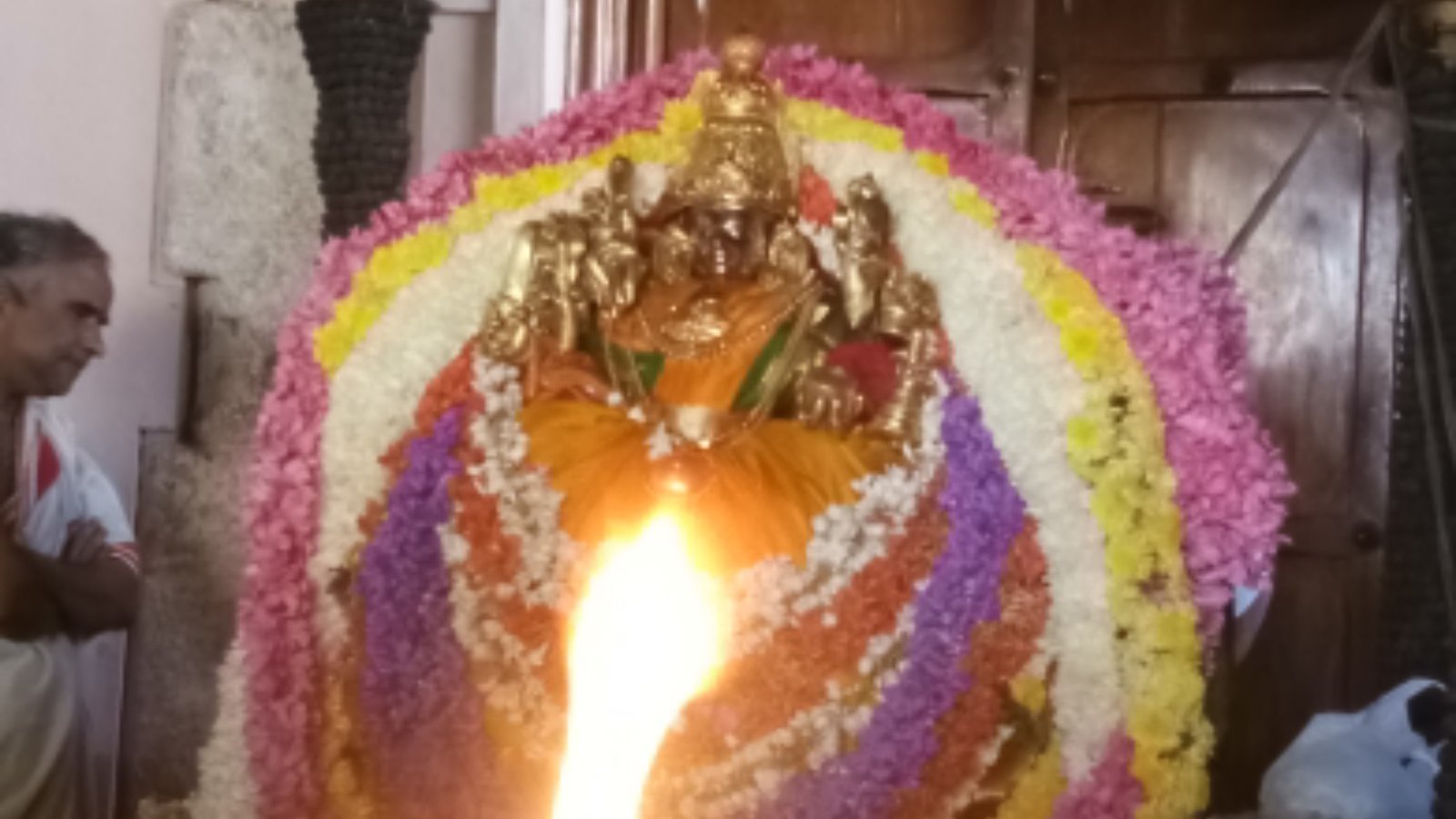 Petition · Bring back Mrs . Rohini Sindhoori to Mysuru. - India ...