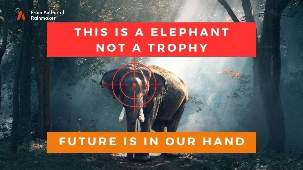Petition · Protect Zimbabwe's Totem Animals: Save the Elephants ...