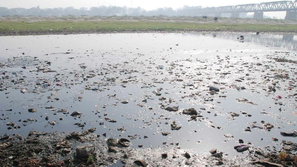 Petition · Save the Manjira River - India · Change.org