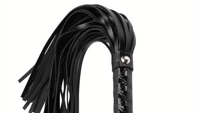 Petition · Ban the use of the ‘whip’ voting system in Parliament ...