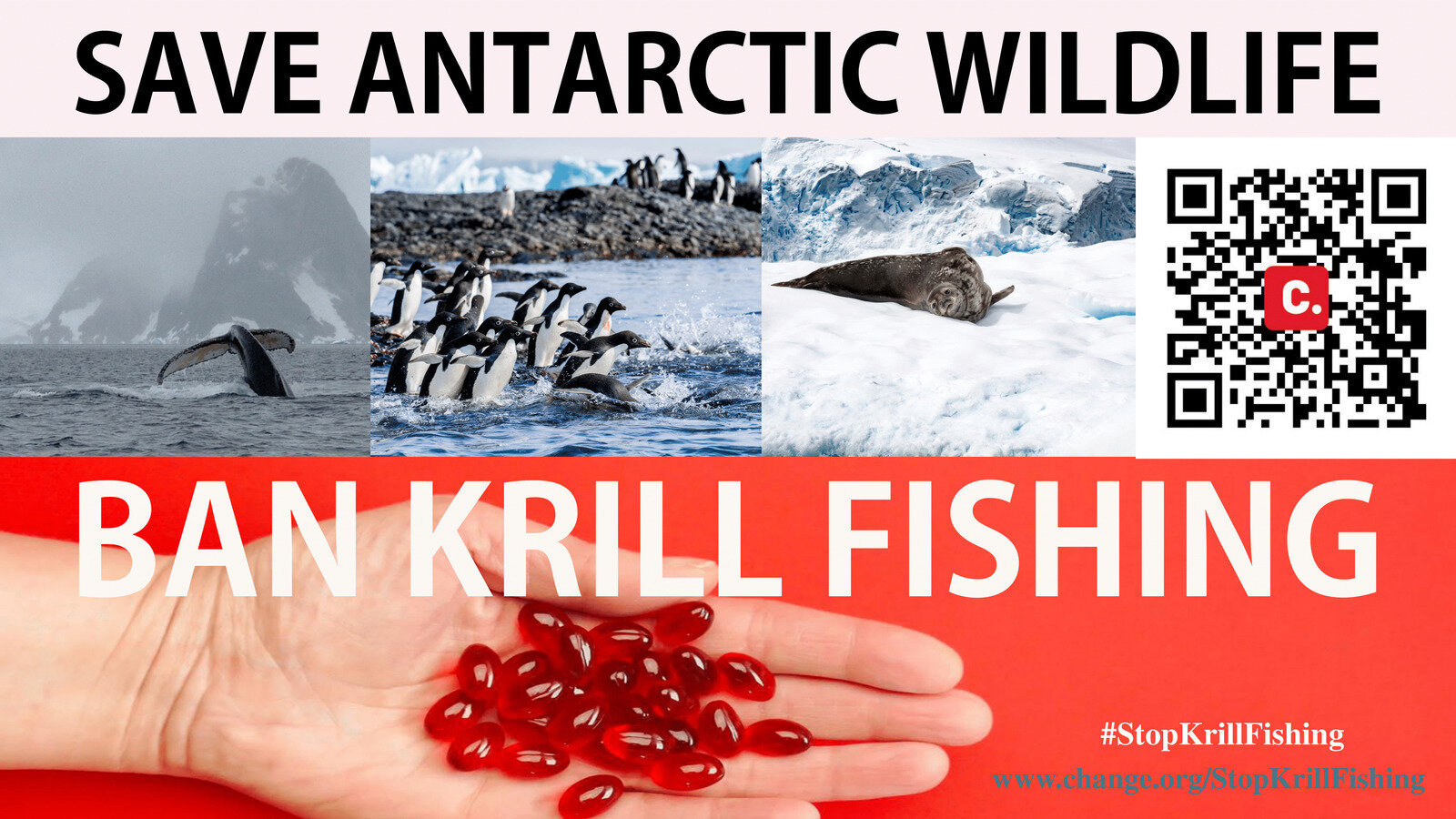 Petición · Ban krill fishing in the Antarctic to prevent the extinction ...