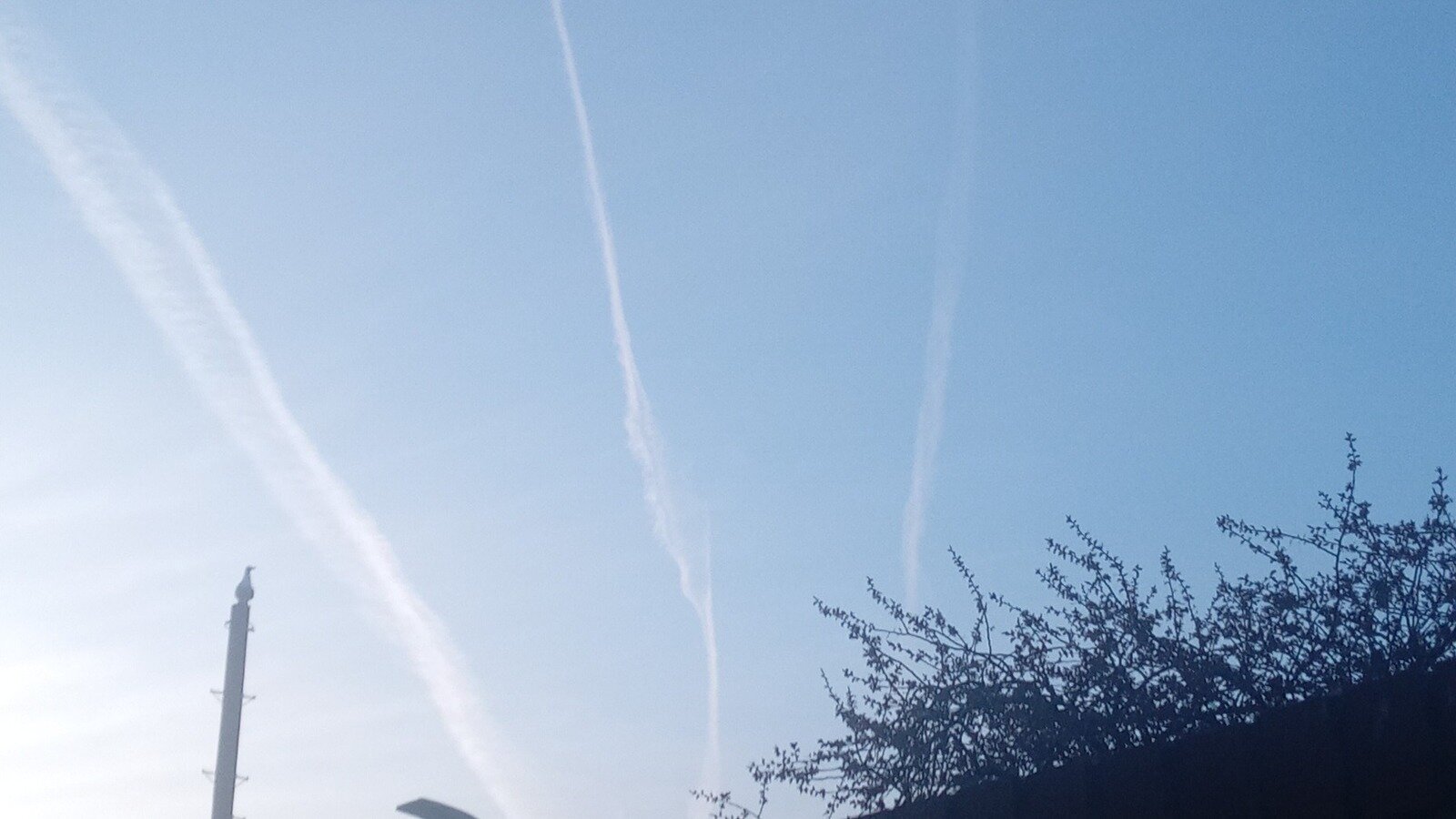 Petition · Suspend Sky Spraying in the UK - United Kingdom · Change.org