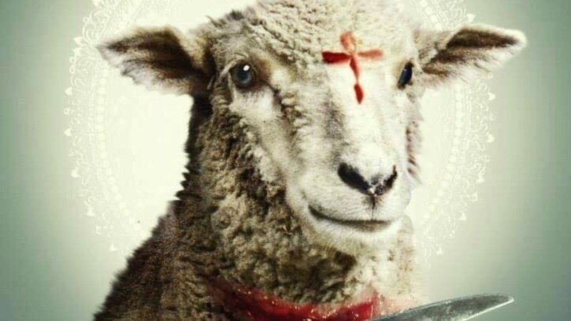 Petition · Animals deserve to live just like us , we have to respect ...