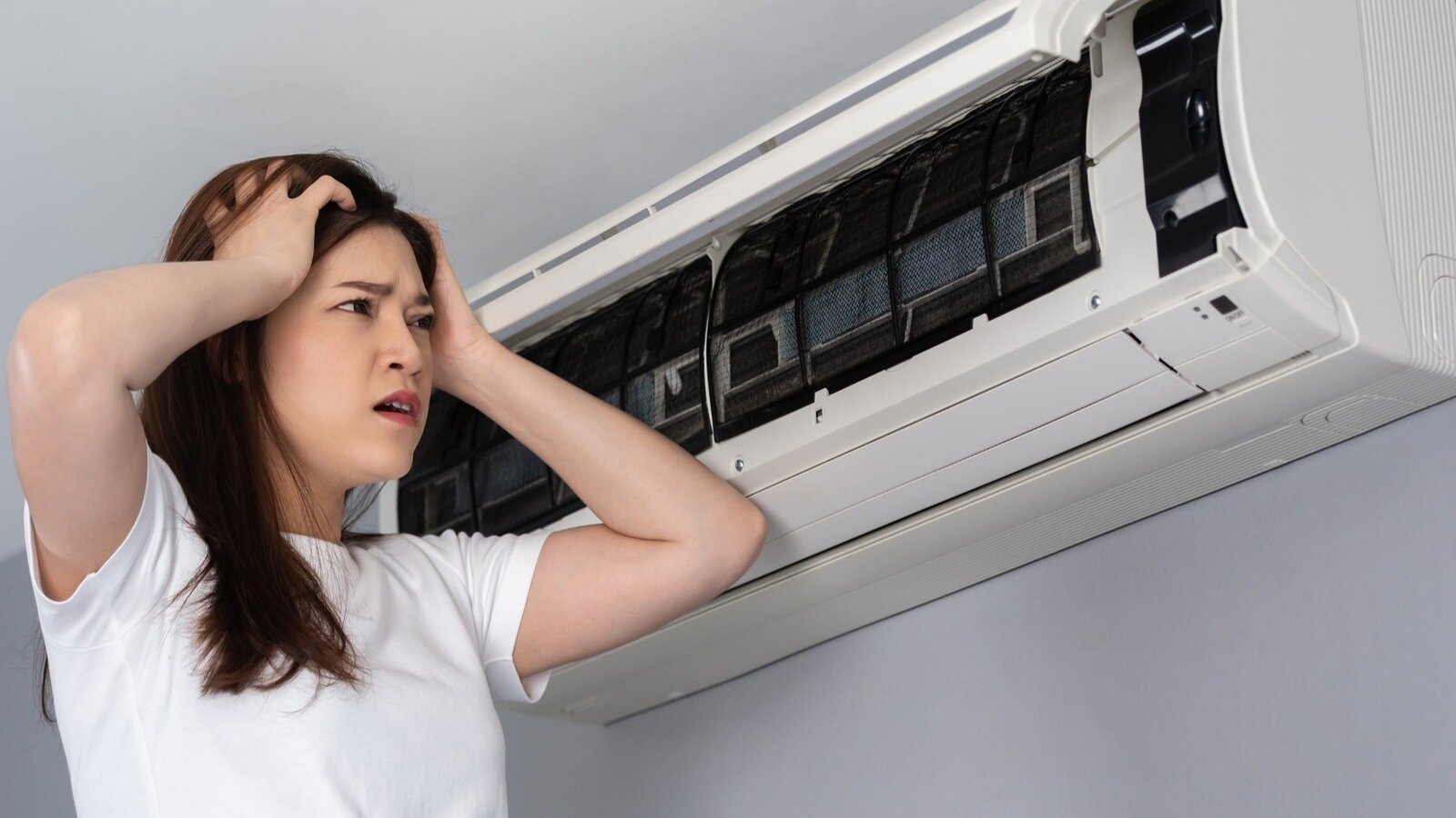 Petition · Montreal - Demand Comprehensive Inspection and Repair of ...