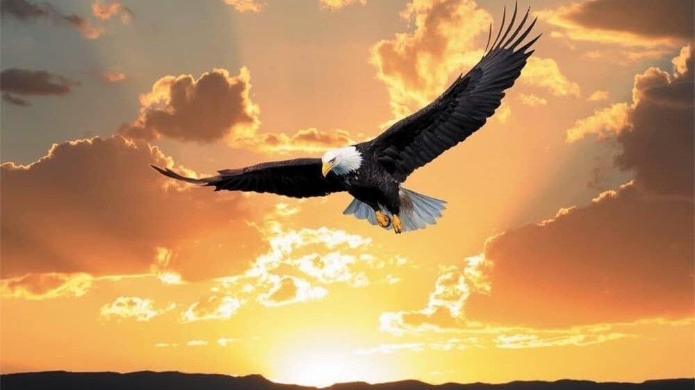 Petition · President Biden: Serve your Country by Relinquishing your ...