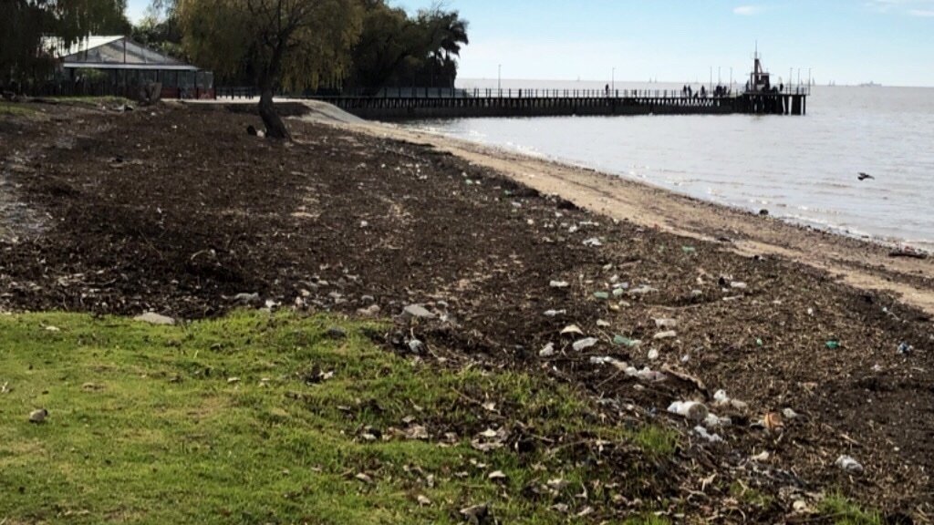 Petición · Un río limpio - Argentina · Change.org