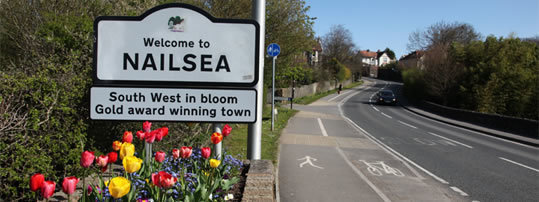 Petition · Save Nailsea's future & get town council to sell Engine Lane ...