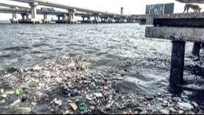 Petition · Reduce Water Pollution under the Cordova Bridge - United ...