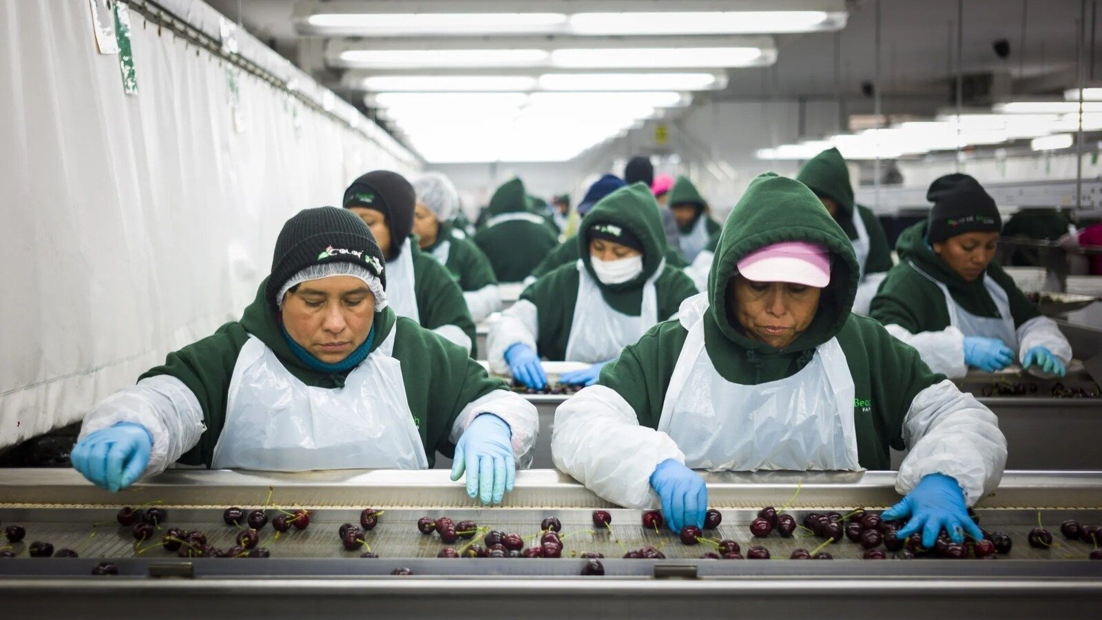 Petition · Reform Canada's Temporary Foreign Worker Program for Better ...