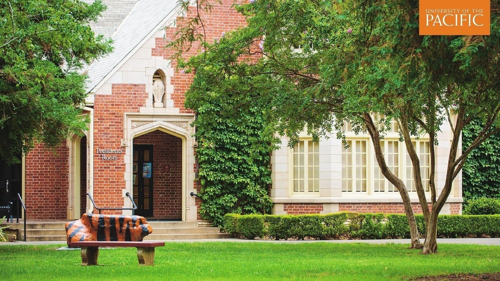 Petition · Vote of No Confidence in President Callahan - Stockton ...