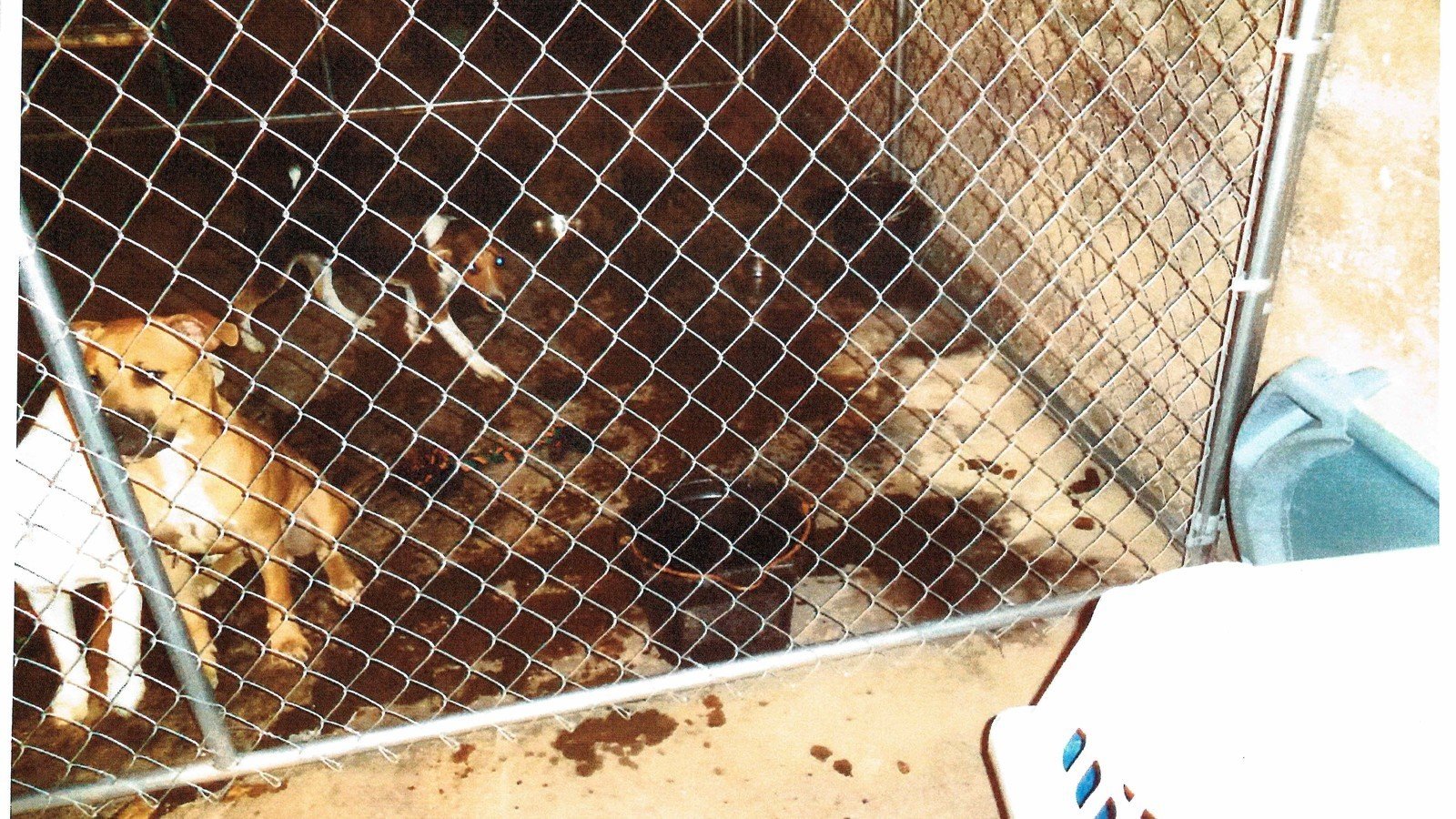 Petition · Remove Robin Gaydos-Behanna as a HPO and close her Kennel ...