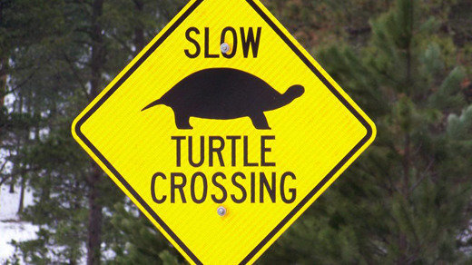 Petition · Road Signs to Stop Road Kill - United States · Change.org