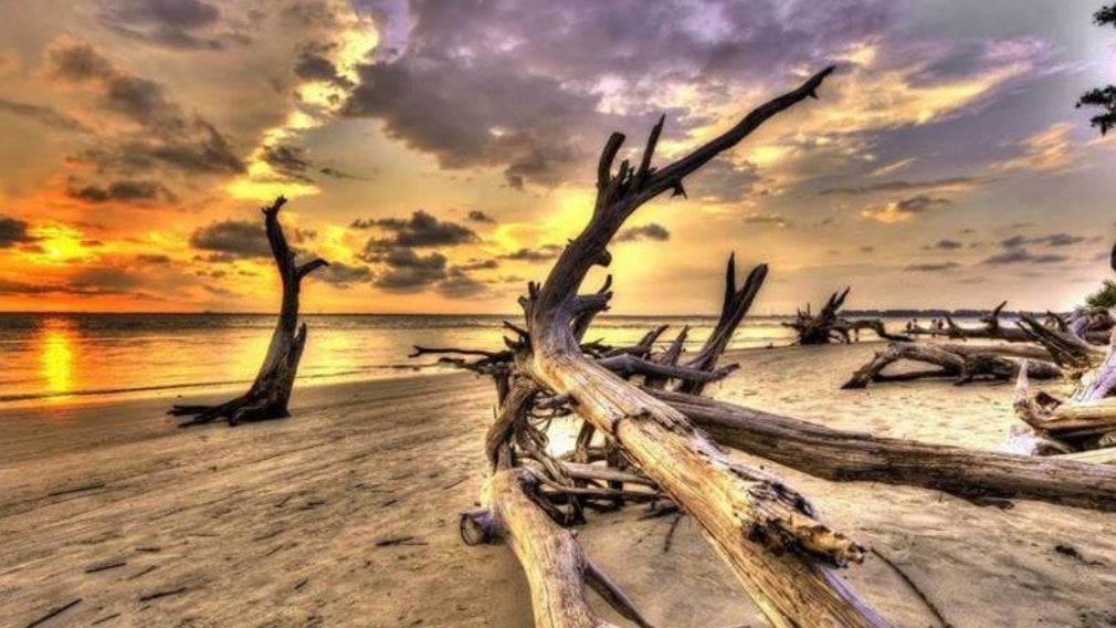 Petition Citizens Opposed To Development On Cumberland Island petition-citizens-opposed-to-development-on-cumberland-island