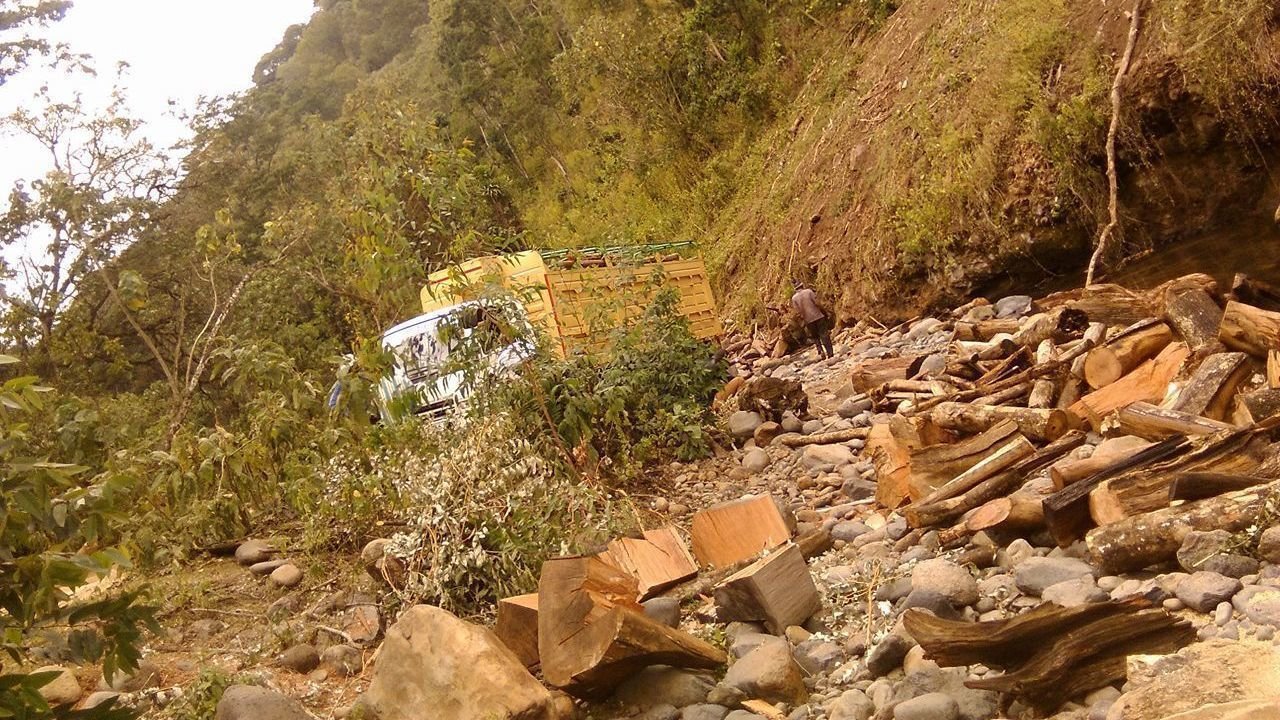 Petition · SAVE THE ABERDARE RANGE/FOREST FROM DEFORESTATION - Kenya ...