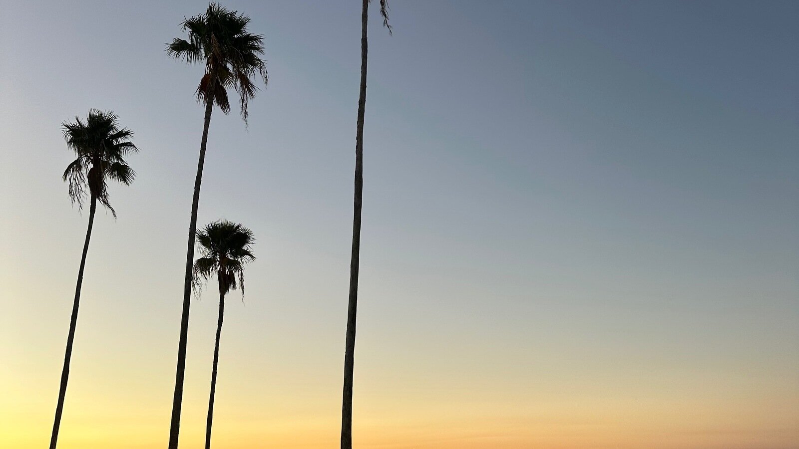 Petition · Bring back graduation to Eckerd campus! - St. Petersburg ...
