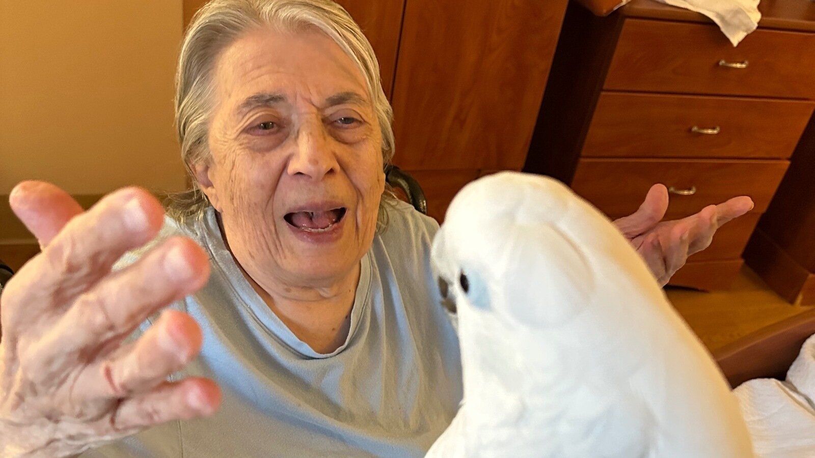 Petition · Help Launch an Attorney General Investigation into Traveler ...