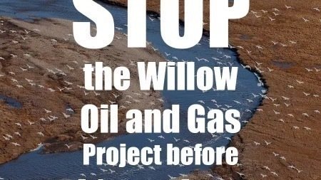 Petition · STOP THE WILLOW PROJECT - United States · Change.org