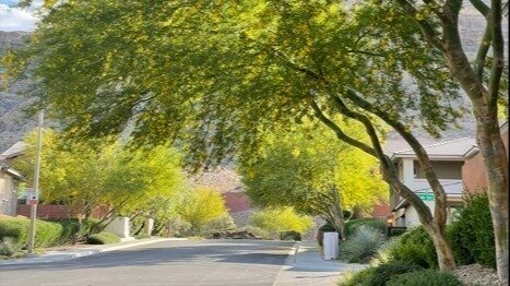 Petition · Stop the Unnecessary Tree Removal in the Amado Community ...