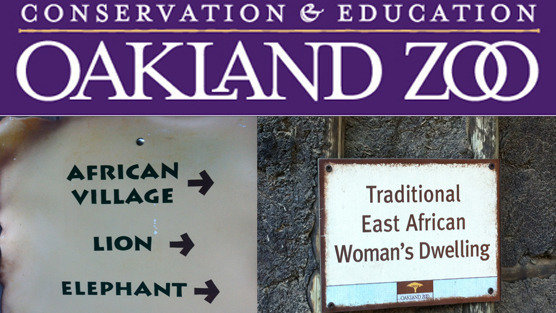 Petition · Urge the Oakland Zoo to Stop the dehumanization of African ...