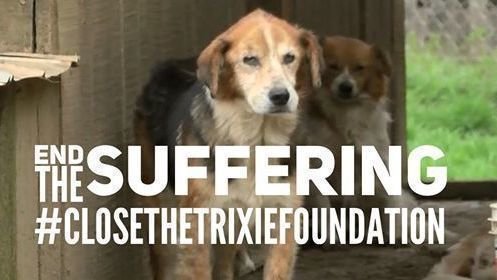 Petition · Investigate Randy Skaggs of the Trixie Foundation NOW ...