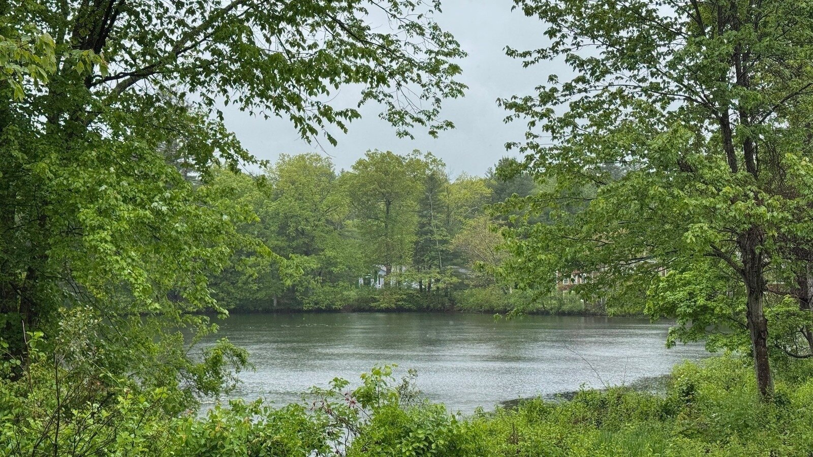 Petition · Save the West Groton Dam and Pond - Groton, United States ...