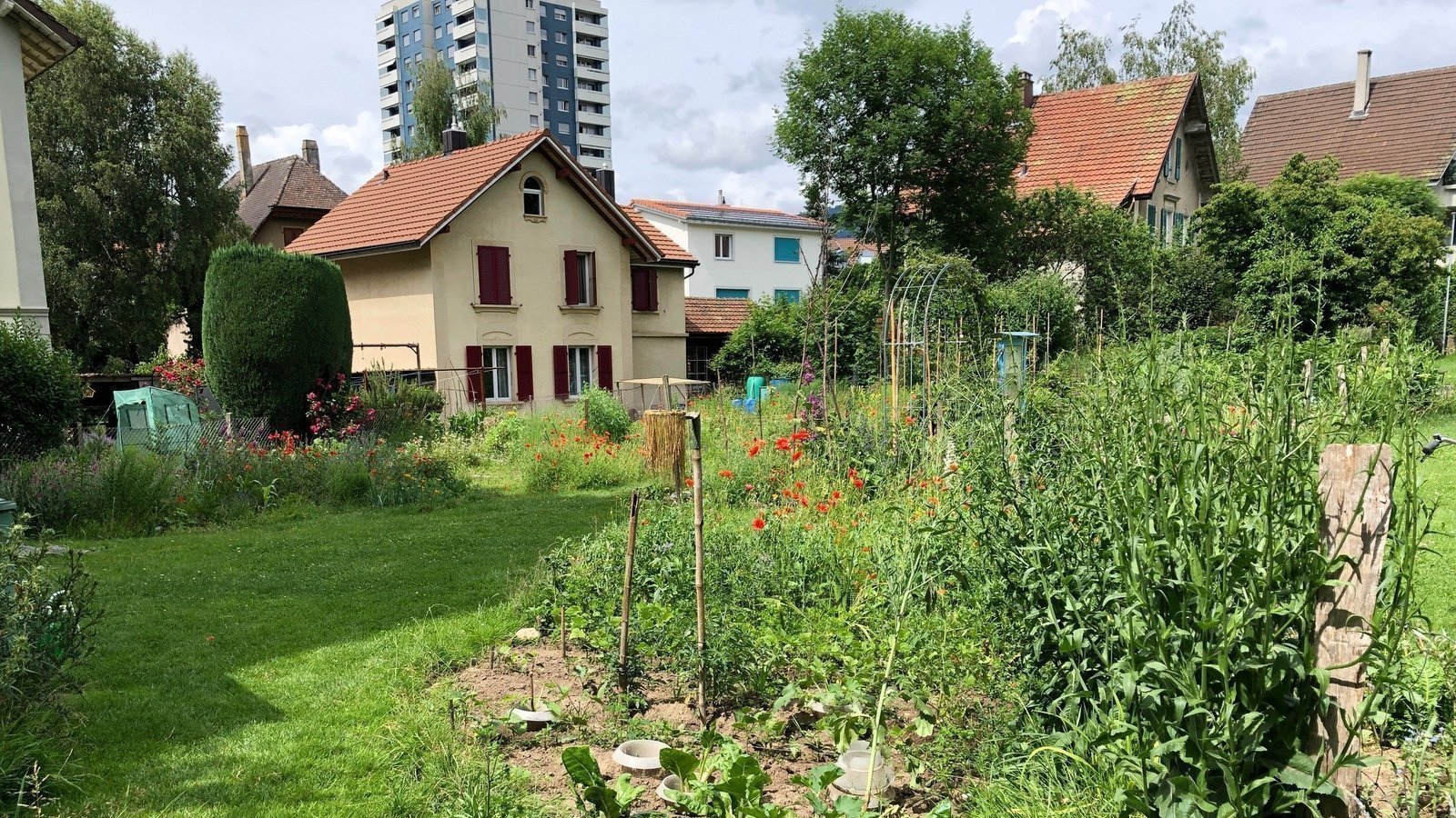 Pétition · Maintien du parc public et jardin communautaire du ch. de la ...