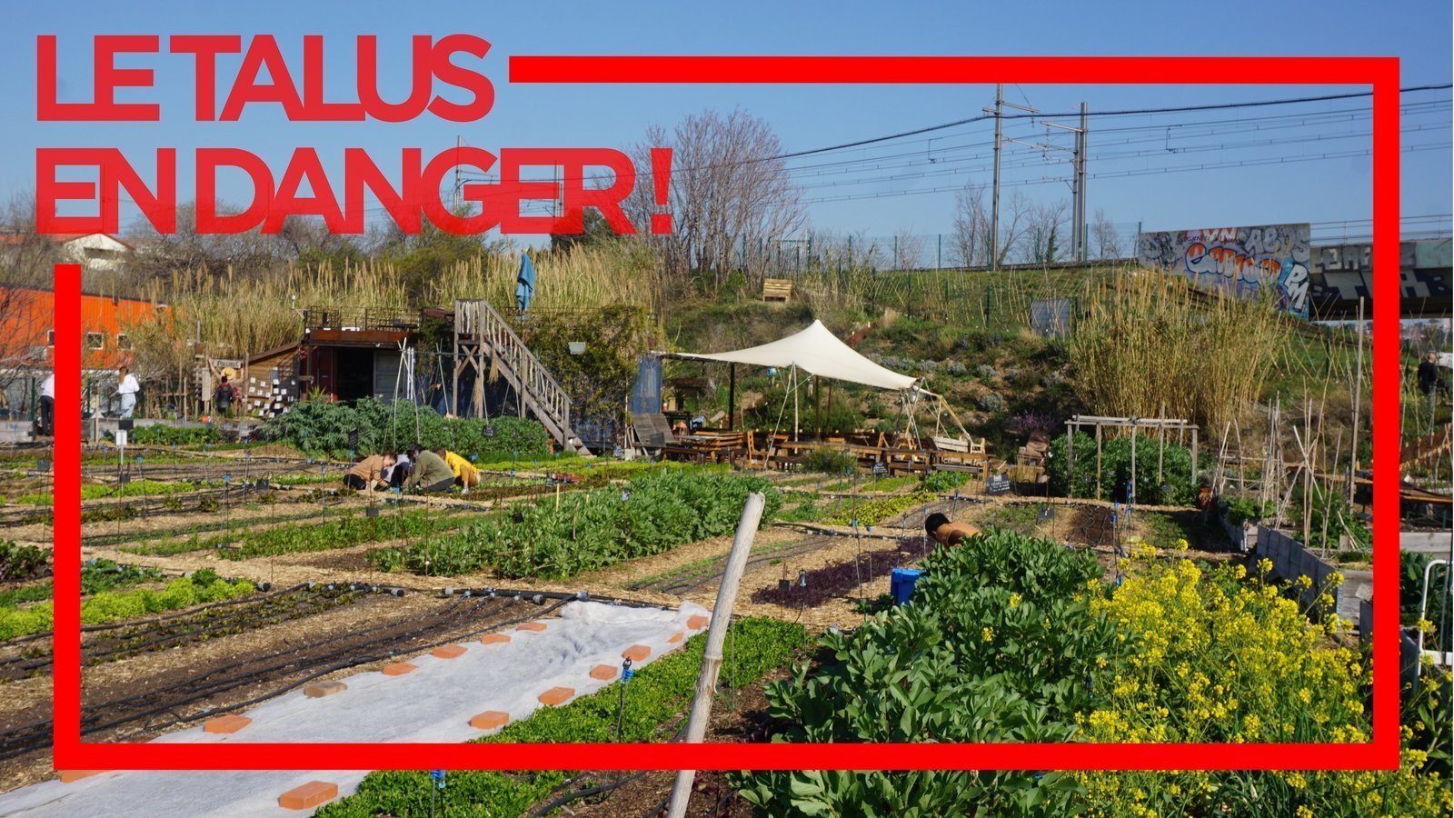 Pétition · Préservez Le Talus ! - Marseille, France · Change.org