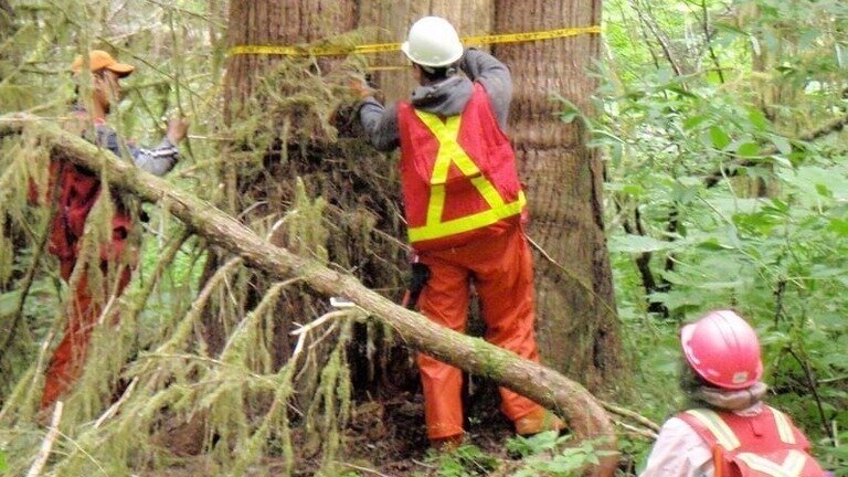 Petition · FIX BC HERITAGE CONSERVATION ACT PERMITTING SYSTEM ...