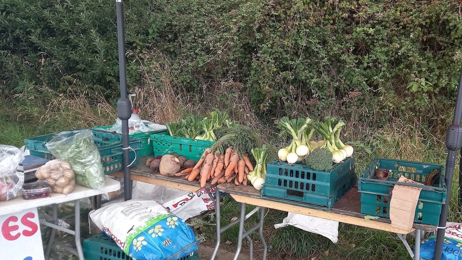 Petition · Would you like to join a community to start a co-op ...