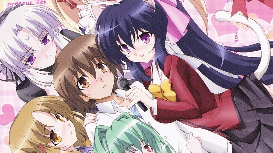 Petición · Queremos una segunda temporada del anime "Omamori Himari ...