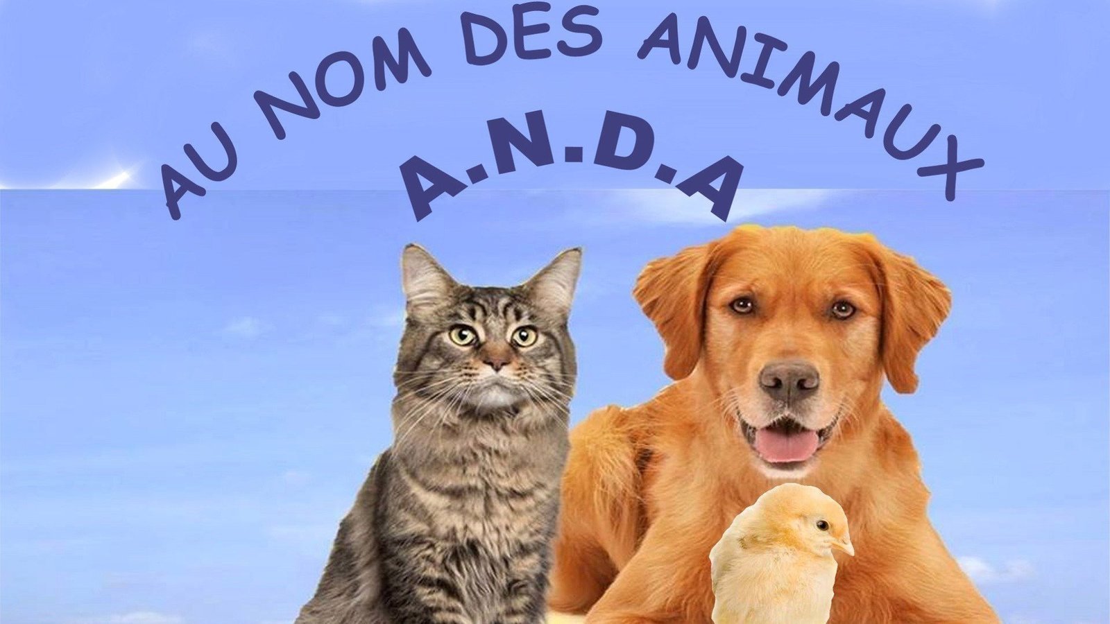 Pétition · Aider une association venant en aide aux animaux. - France ...