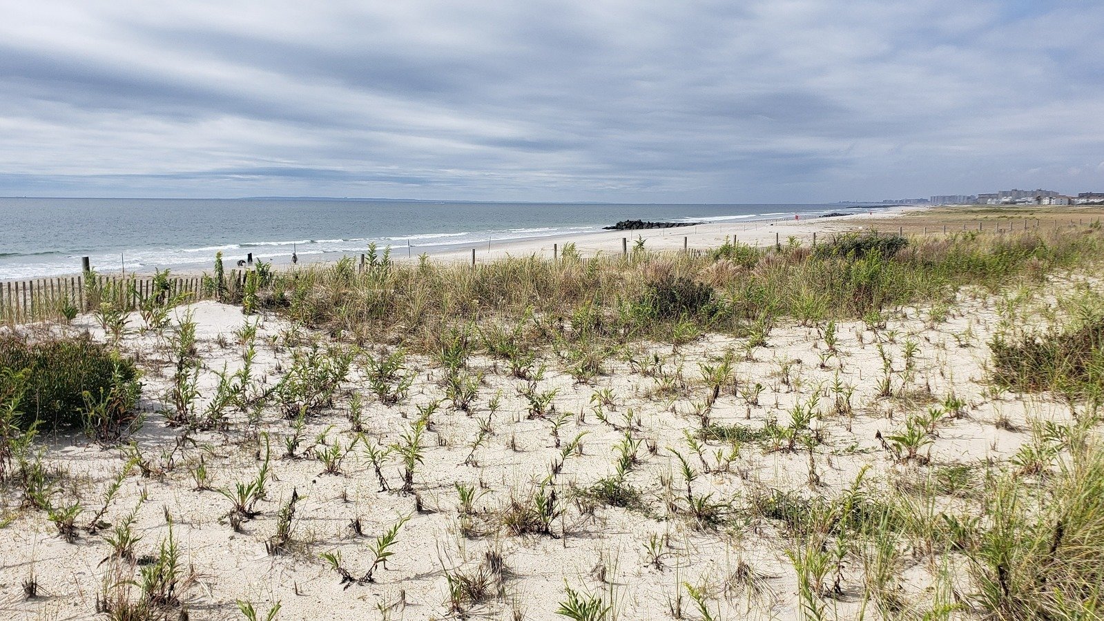 Petition · Birds Over People: Edgemere's Fight to Gain Back Access to ...