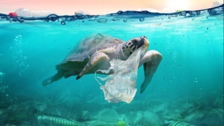 Petition · Save the Turtles! - United States · Change.org