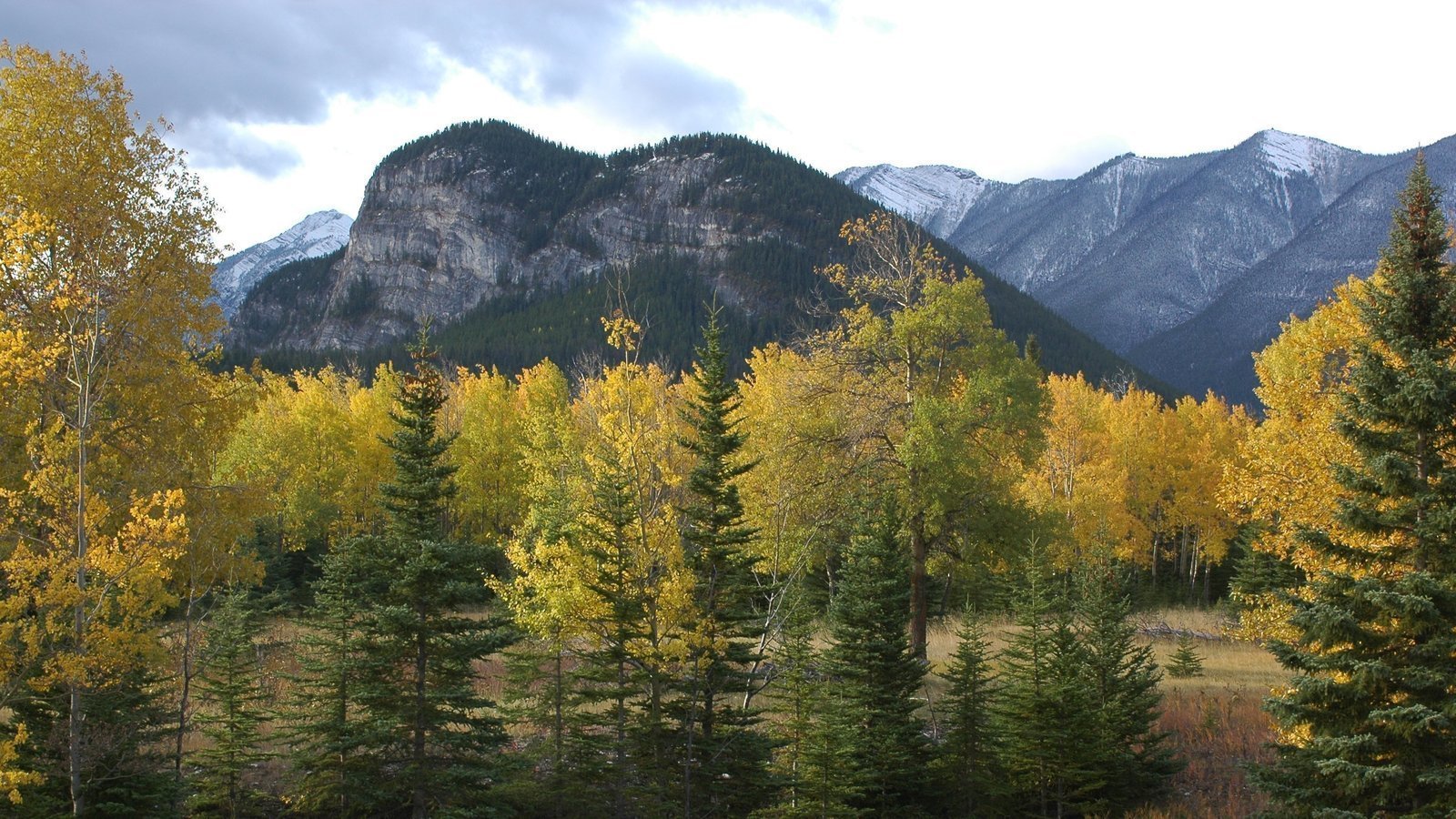 Petition · Rename Tunnel Mountain to Buffalo Mountain: Honour Important ...