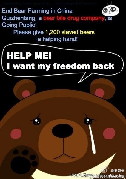 Petition · STOP Guizhentang (a bear farm in China)'s attempt to go ...