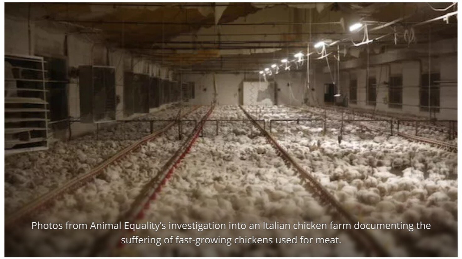 Petition · Stop Harmful Factory Farming Practices - United States ...