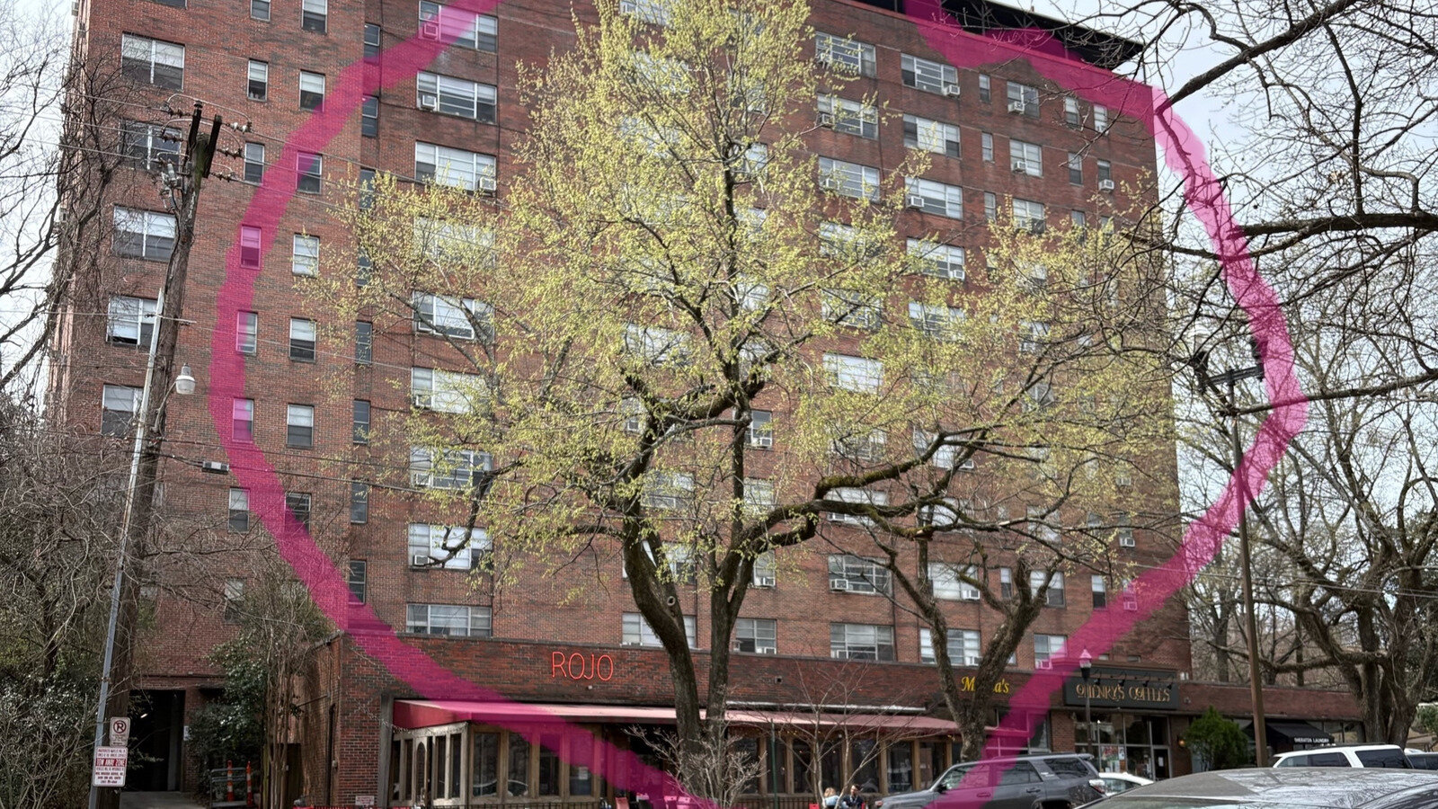 Petition · Save the 50-80 yr old Trees outside of Rojo! - Birmingham ...
