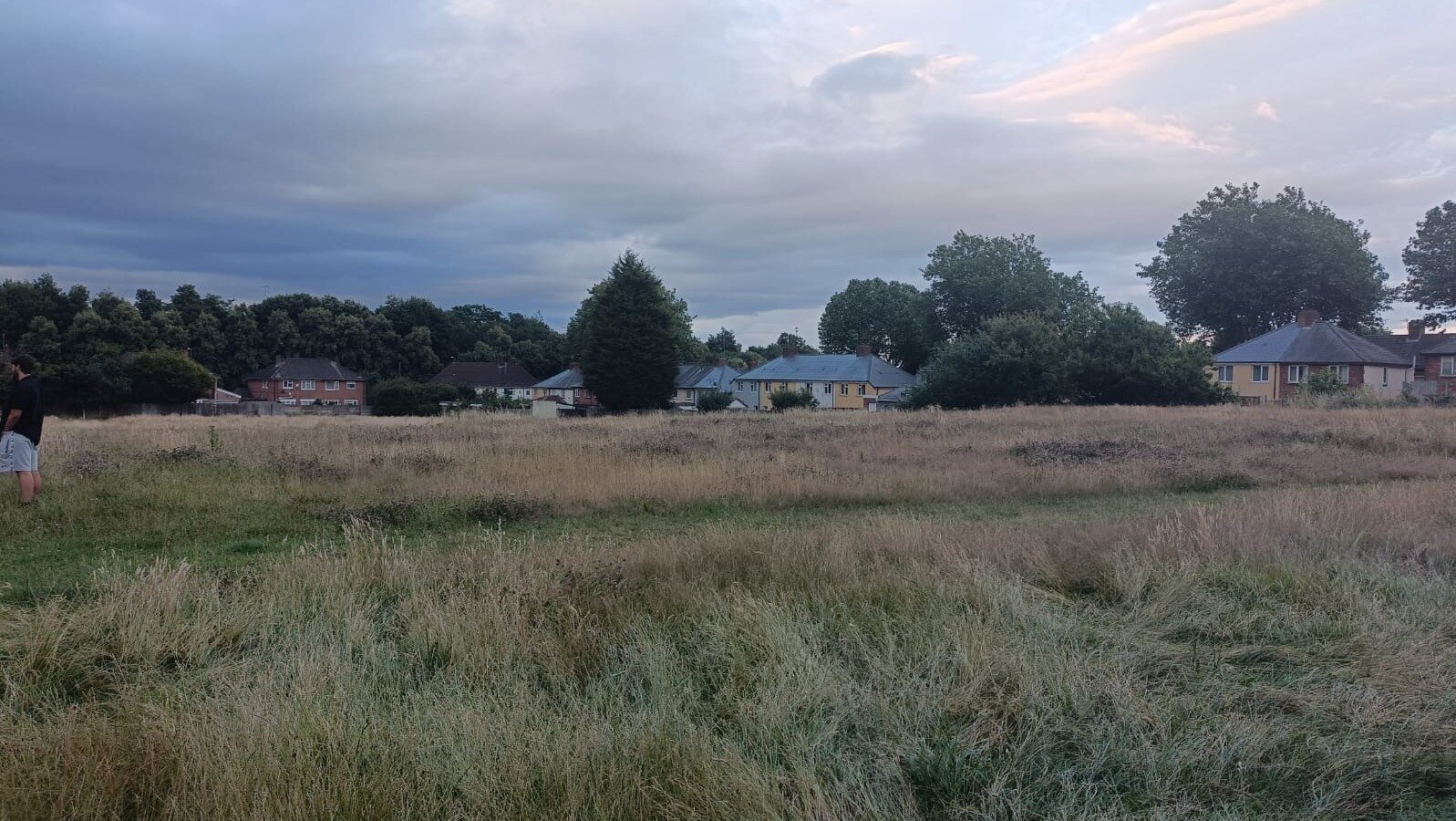 Petition · Revert Cook Street Park to Its Original Open Playing Area ...