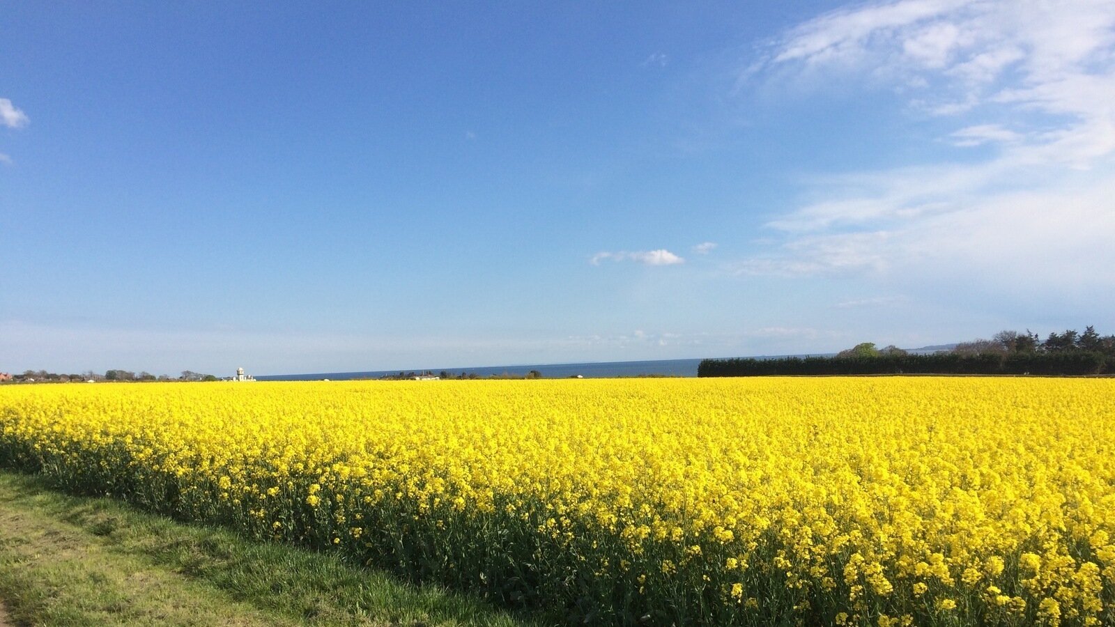 Petition · Halt Further Housing Developments in Cliffsend and Pegwell ...