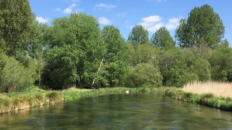 Petition · Tell Bakkavor Alresford Salads to stop polluting the Upper ...